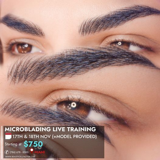 Microblading, Shading & Removal PMU Training Nov. 17-18th | Miami, FL | Beauty Cell Factor ...