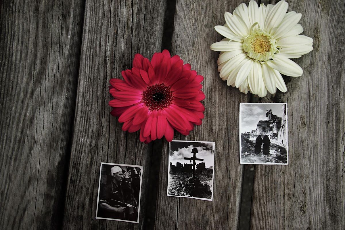 What Did You Do In The War? Part 2: Overseas War Records - Hub Library ...