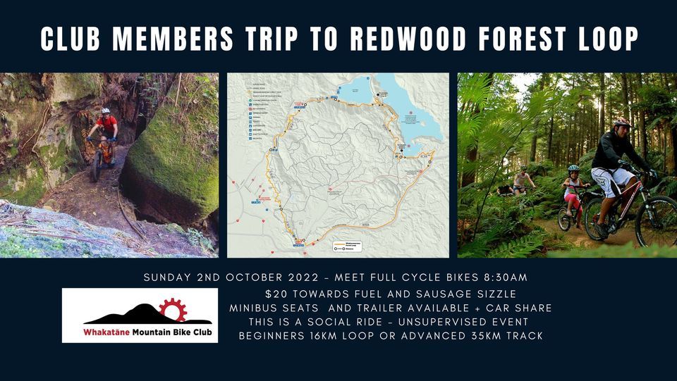 Club Members Trip to Redwoods (Forest Loop Ride) | Redwoods ...