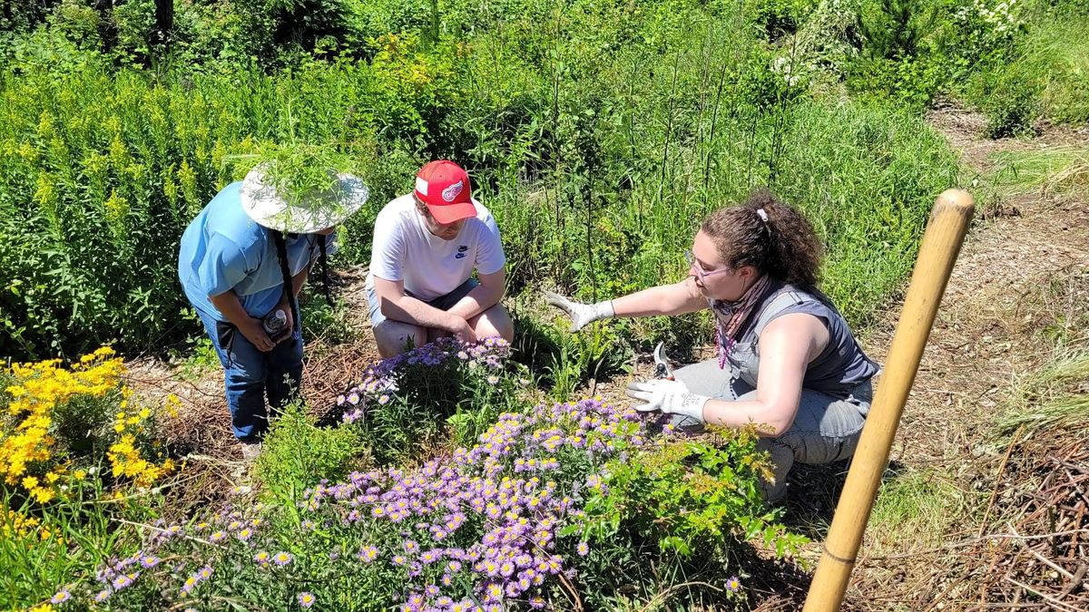 World Nature Conservation Day Celebration! (Ecological Restoration ...