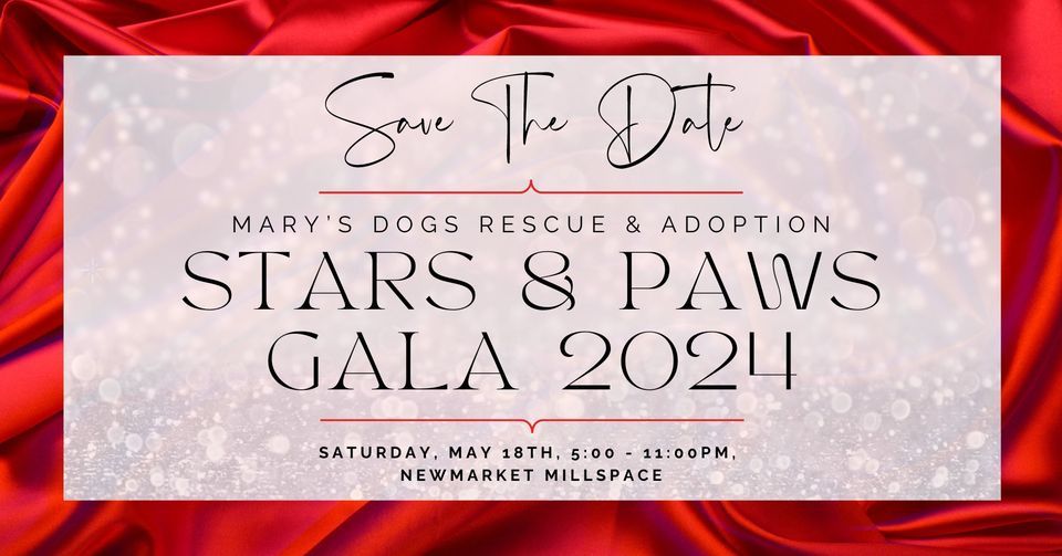 Stars & Paws Gala 2024 | Millspace: Center for Art, History & Culture ...