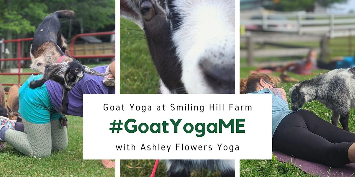 Goat Yoga at Smiling Hill Farm, Westbrook on 13th May, 2023