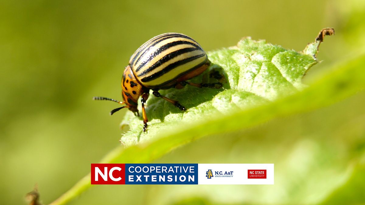 Garden Triage: Managing Garden Pests and Disease-Better Living Series ...