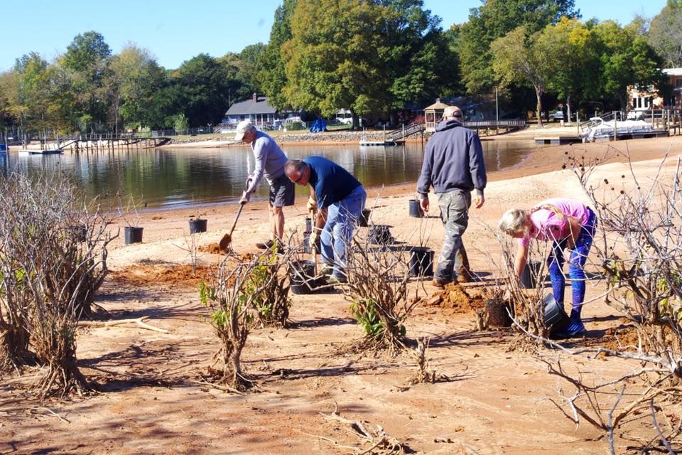 2022 Island Buttonbush Planting Volunteer Day at Safe Harbor Westport ...