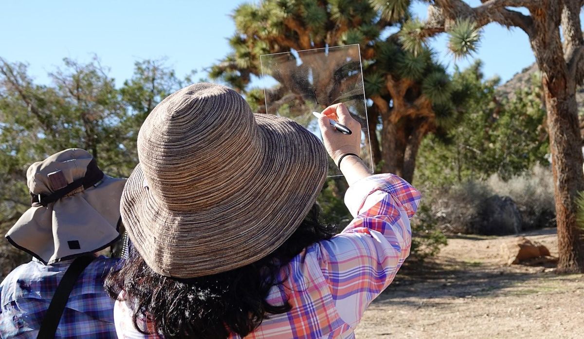 Field Sketching for Non-Artists Spring 2022 at Black Rock Nature Center ...