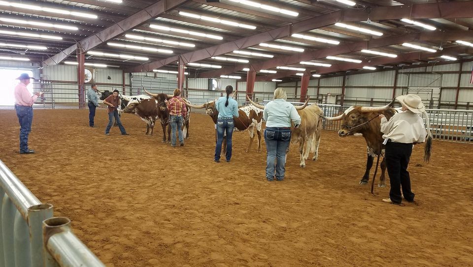 2023 CTTLA Fall Shootout Show | Wise County Fairgrounds - Decatur ...