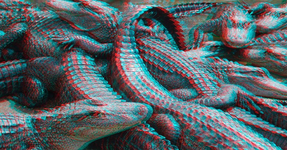 Alligator-a-Phobia in 3D! | Boston Playwrights' Theatre, Cambridge, MA ...