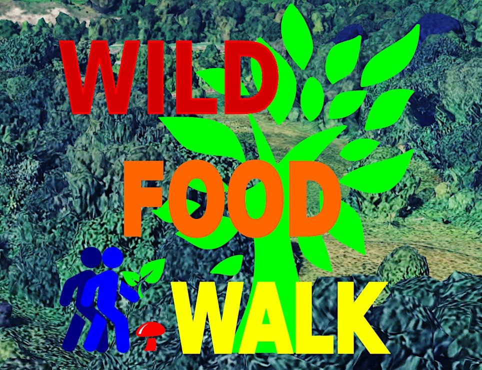 January Sea Mills (Bristol) Wild Food Foraging/ Forager Walk. at Sea ...