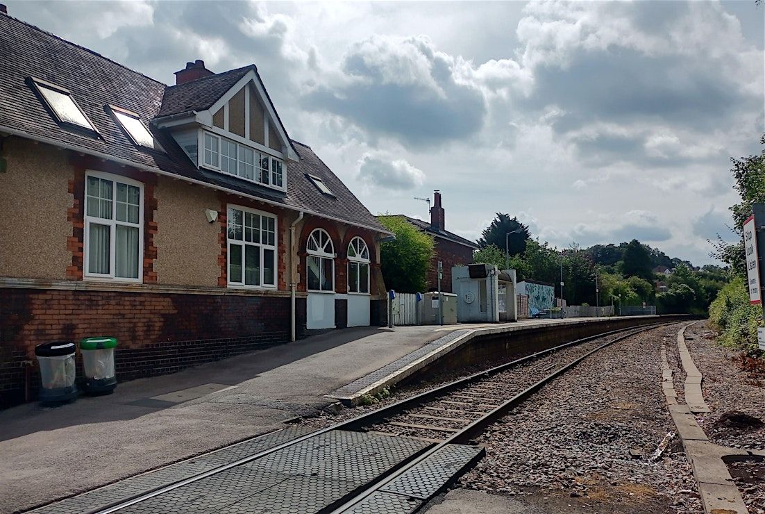 January Sea Mills (Bristol) Wild Food Foraging/ Forager Walk. at Sea ...