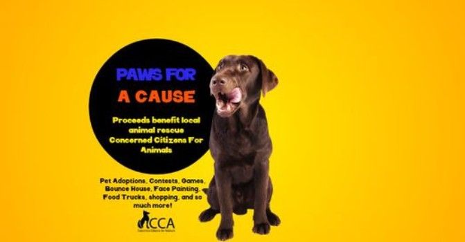 Paws For A Cause 2022 | Simpsonville City Park | September 17, 2022