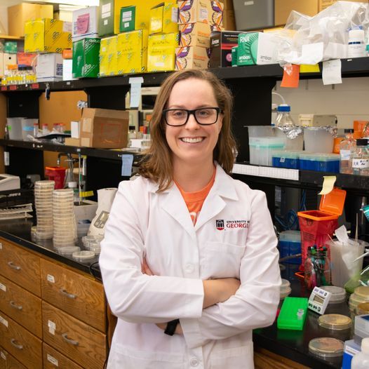 Metabolic expansion in Acinetobacter baylyi ADP1 for enhanced aromatic ...