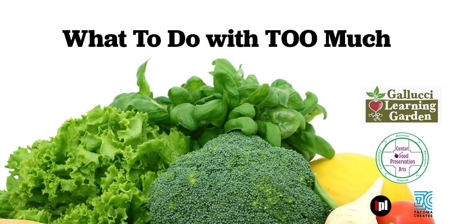 What To Do With TOO Much at Tacoma Public Library (Mottet Branch) on ...