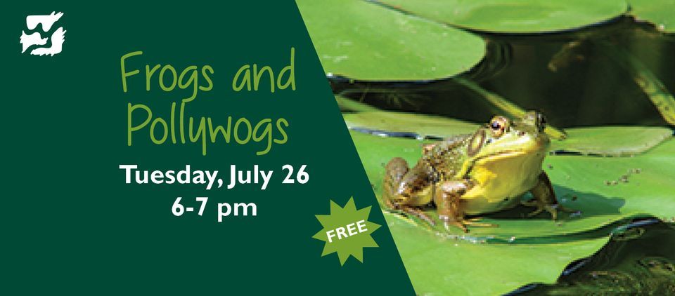 Frogs and Pollywogs | Chippewa Nature Center, Midland, MI | July 26, 2022