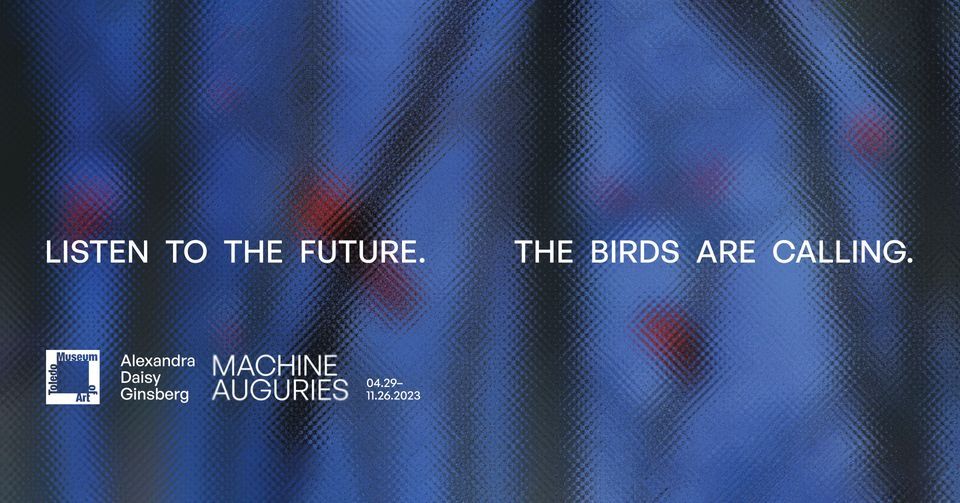 A Conversation with Alexandra Daisy Ginsberg and Jessica S. Hong | The ...