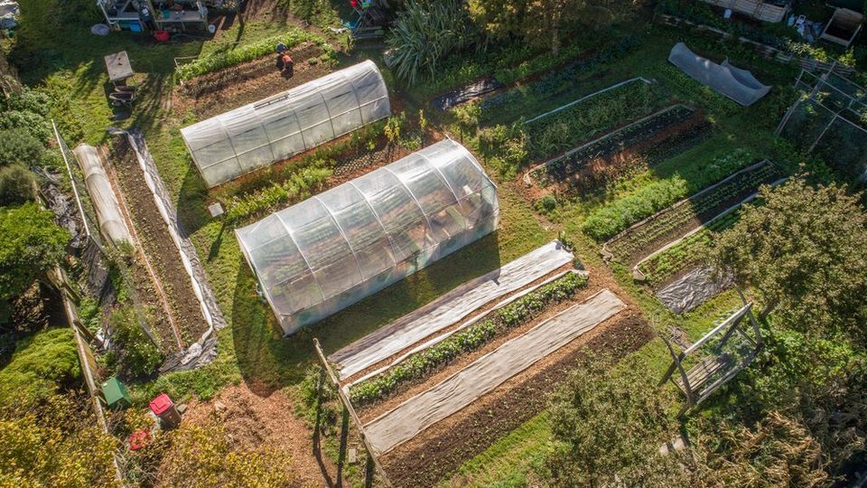 Soil therapy 101: Grass to garden, dirt to soil | Kaicycle Urban Farm ...