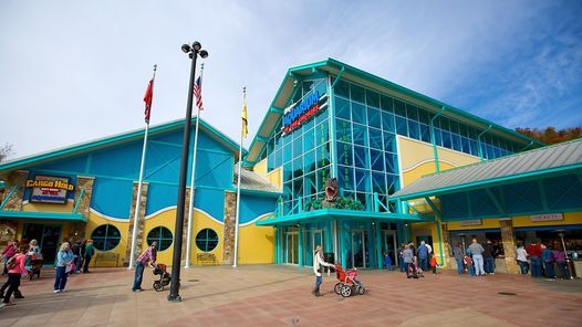 Ripleys Aquarium for MHA Seniors at Ripley's Aquarium of the Smokies ...