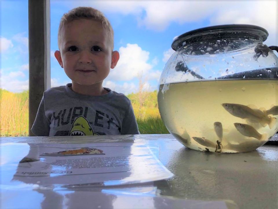 Porch Talk - Fish | Oso Bay Wetlands Preserve and Learning Center ...