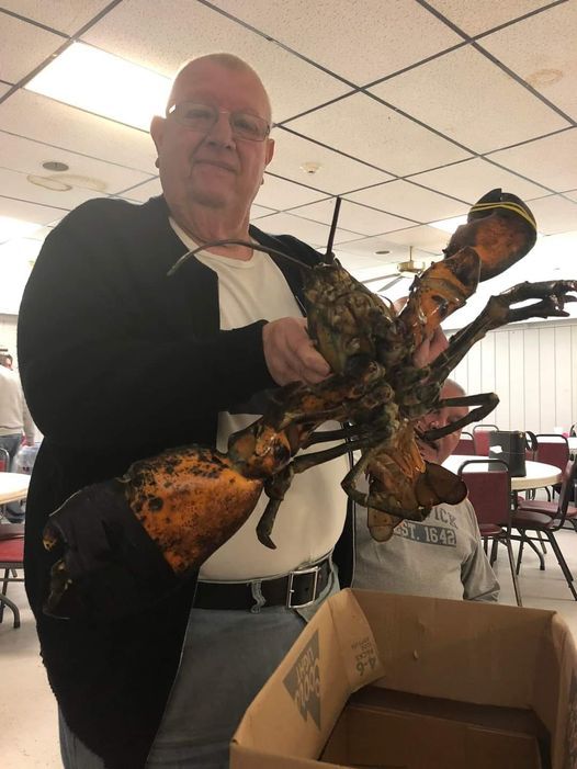 West Bay Meat & Lobster Raffle | 750 Warwick Ave, Warwick, RI 02888 ...