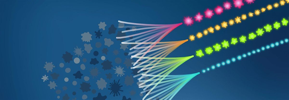 Smart Panel Design & Advanced Tools for Clean Data in Flow Cytometry at ...
