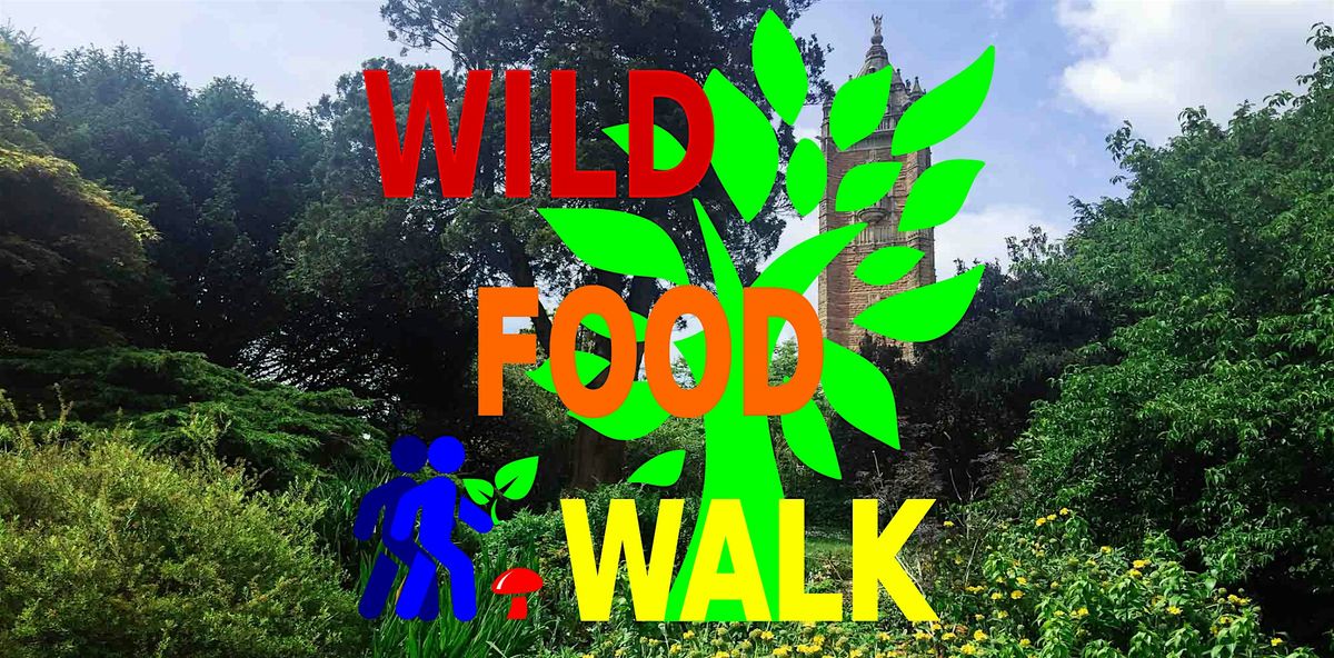 Brandon Hill Park (Bristol) Wild Food Foraging/ Foragers Walk. at ...