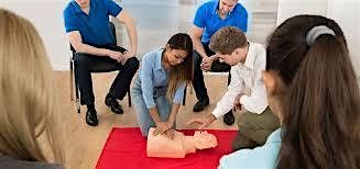 Red Cross Adult & Pediatric CPR/AED/First Aid Instructor Certification ...