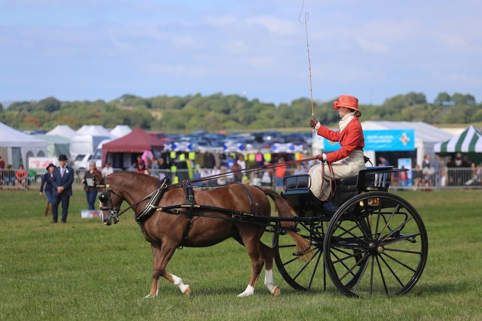 Lely @ Pembrokeshire Show 2023 | Pembrokeshire County Show ...