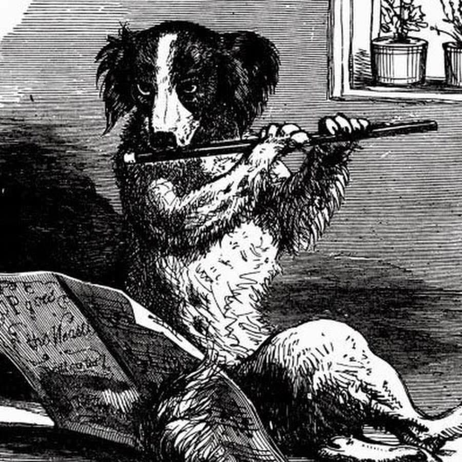 The Elm Tree | The Elm Tree, Bromley, EN | March 17, 2024