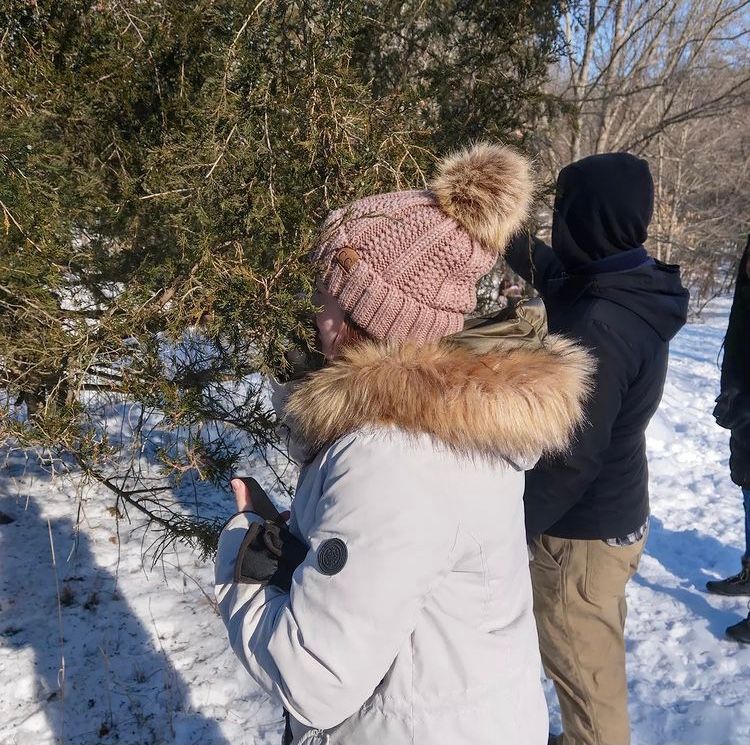 Winter Foraging Class: In-Season Wild Foods + Maple Tapping! at Cascade ...