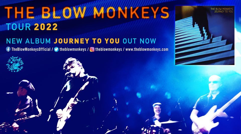 LIVERPOOL: The Blow Monkeys | Cavern Club Liverpool | November 3, 2022