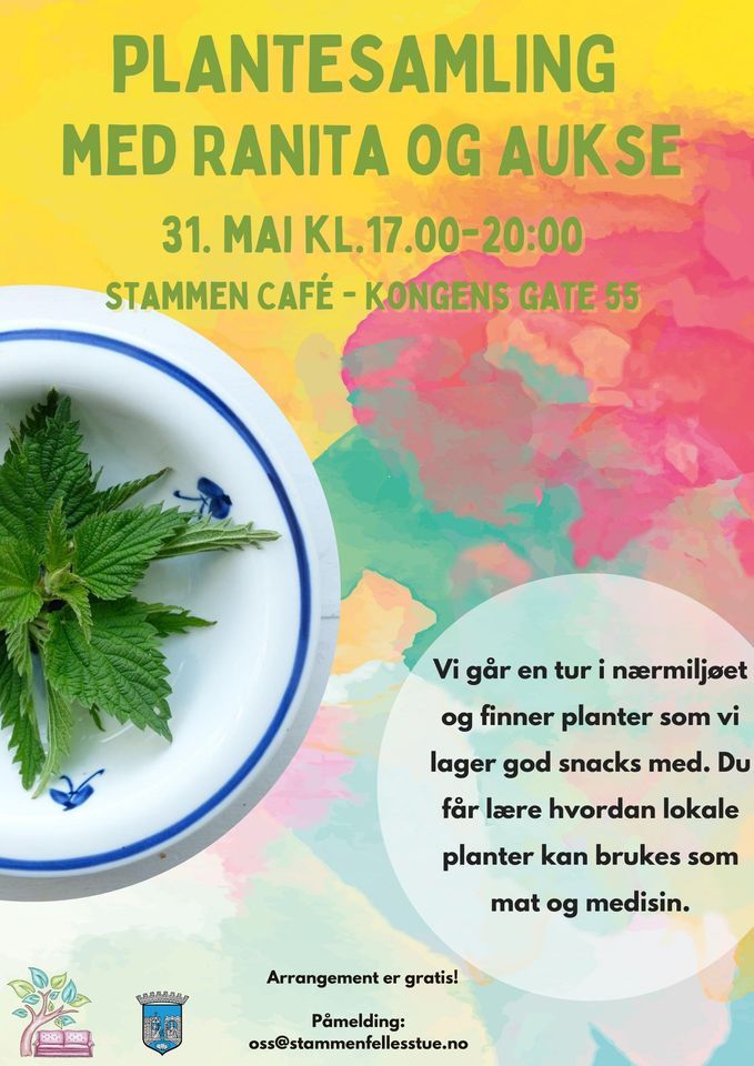 Plantesamling med Ranita og Aukse | Stammen Café & Bar, Trondheim, ST ...