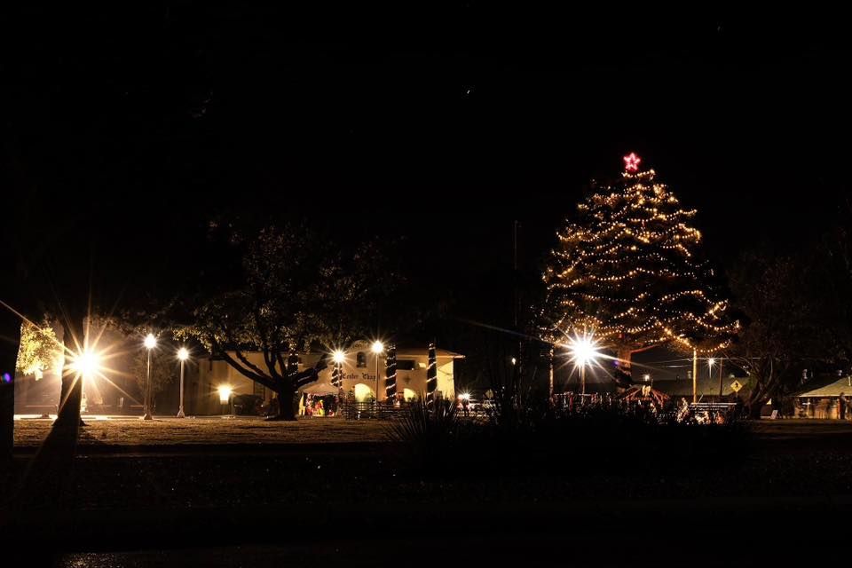 Annual Christmas Tree Lighting Ceremony and Holiday Festival at Center ...
