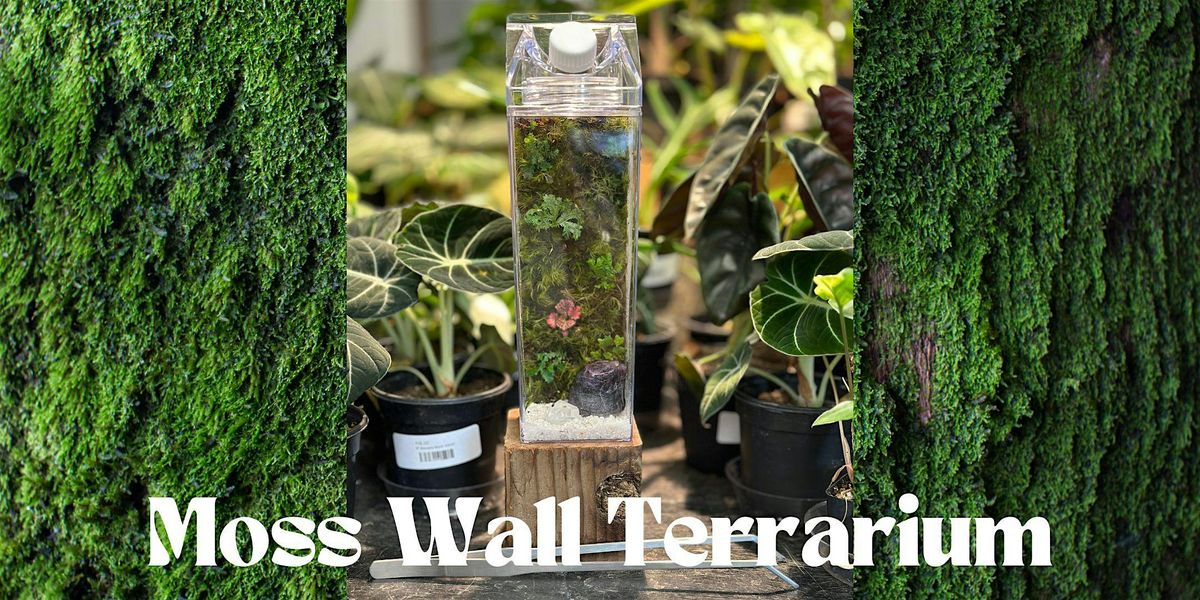 Moss Wall Terrarium | Stem and Roots: House Plant Boutique, Fort ...