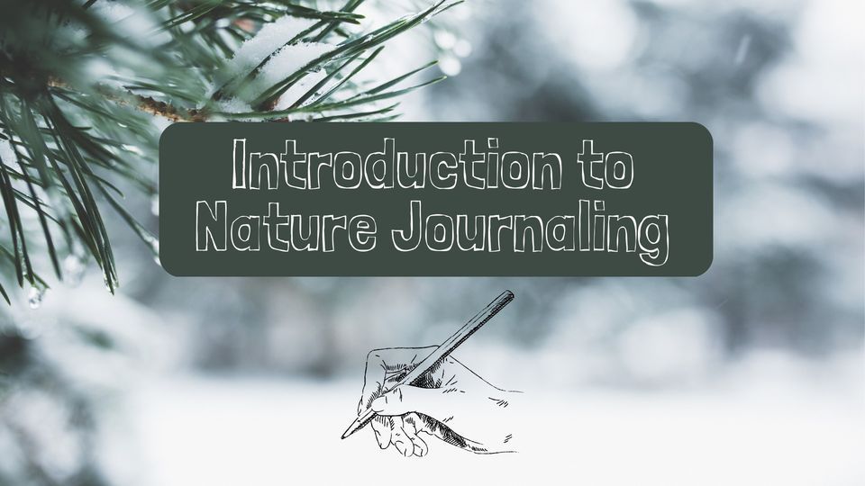 Introduction to Nature Journaling at Hemlock Crossing County Park, West ...