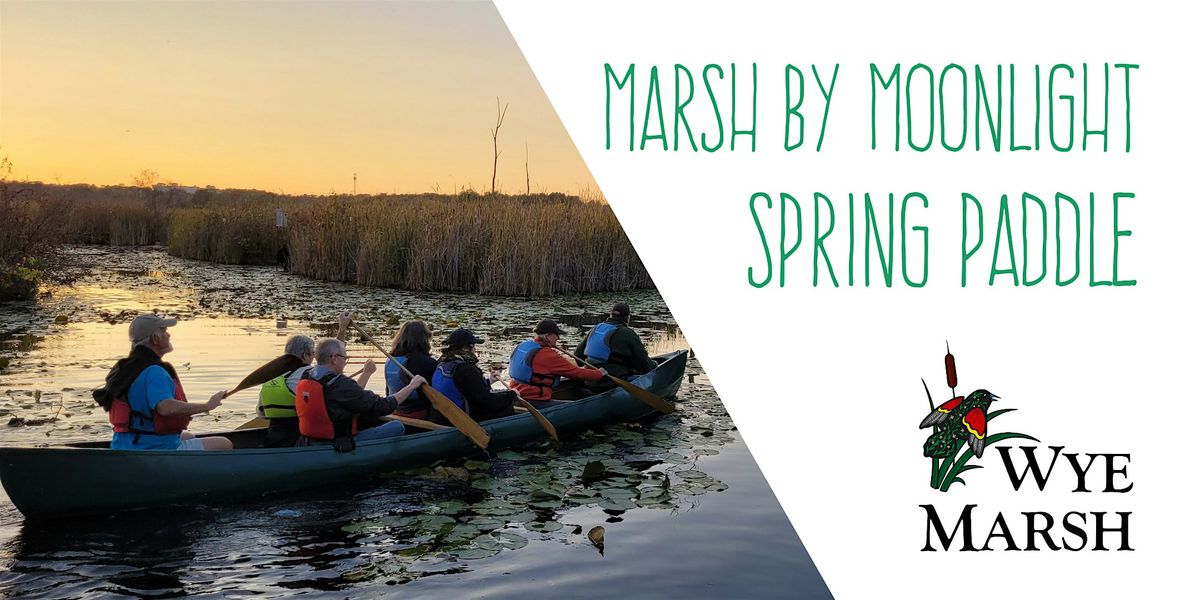 Marsh by Moonlight Spring Paddle at Wye Marsh | Wye Marsh Wildlife ...