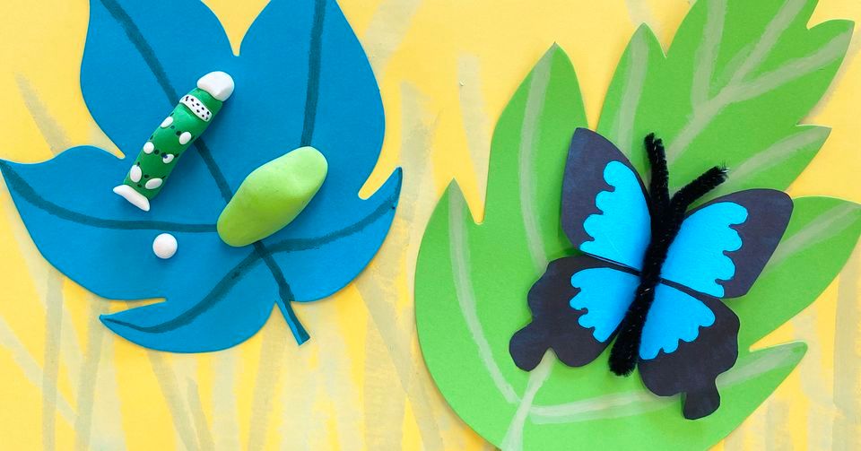 East Victoria Park - Butterfly Life Cycle | Victoria Park Centre for ...