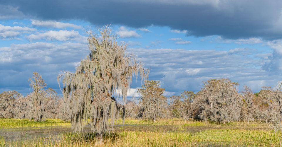 Guy Harvey Outpost Photo Academy | Camp Mack, a Guy Harvey Lodge ...