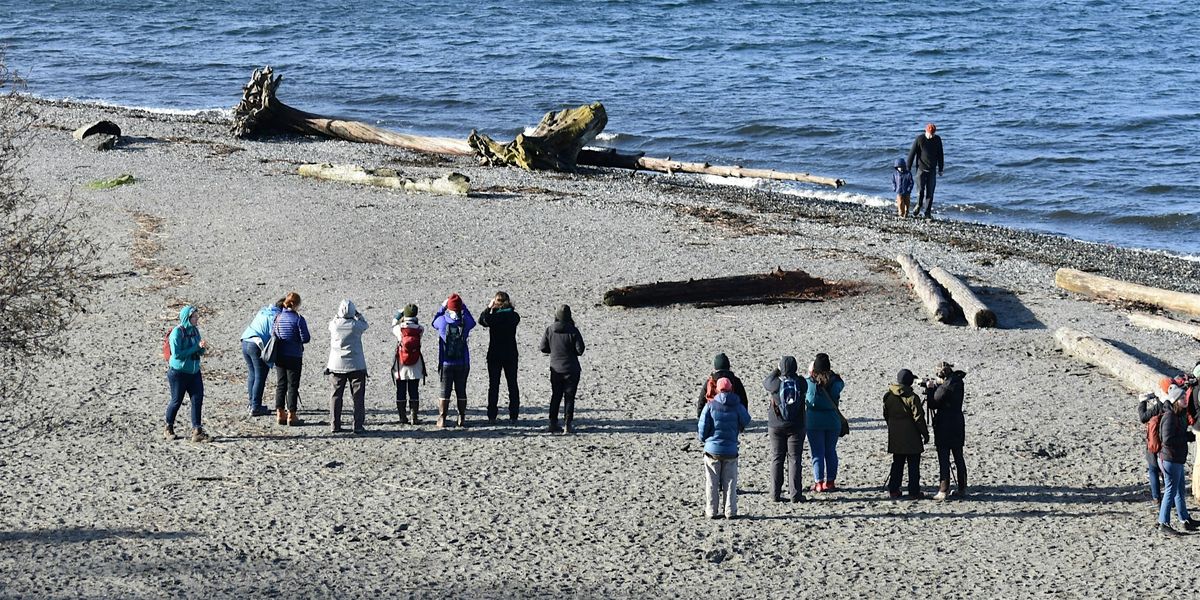 December Bird Outing at Carkeek Park | Parking - Carkeek Park Beach ...