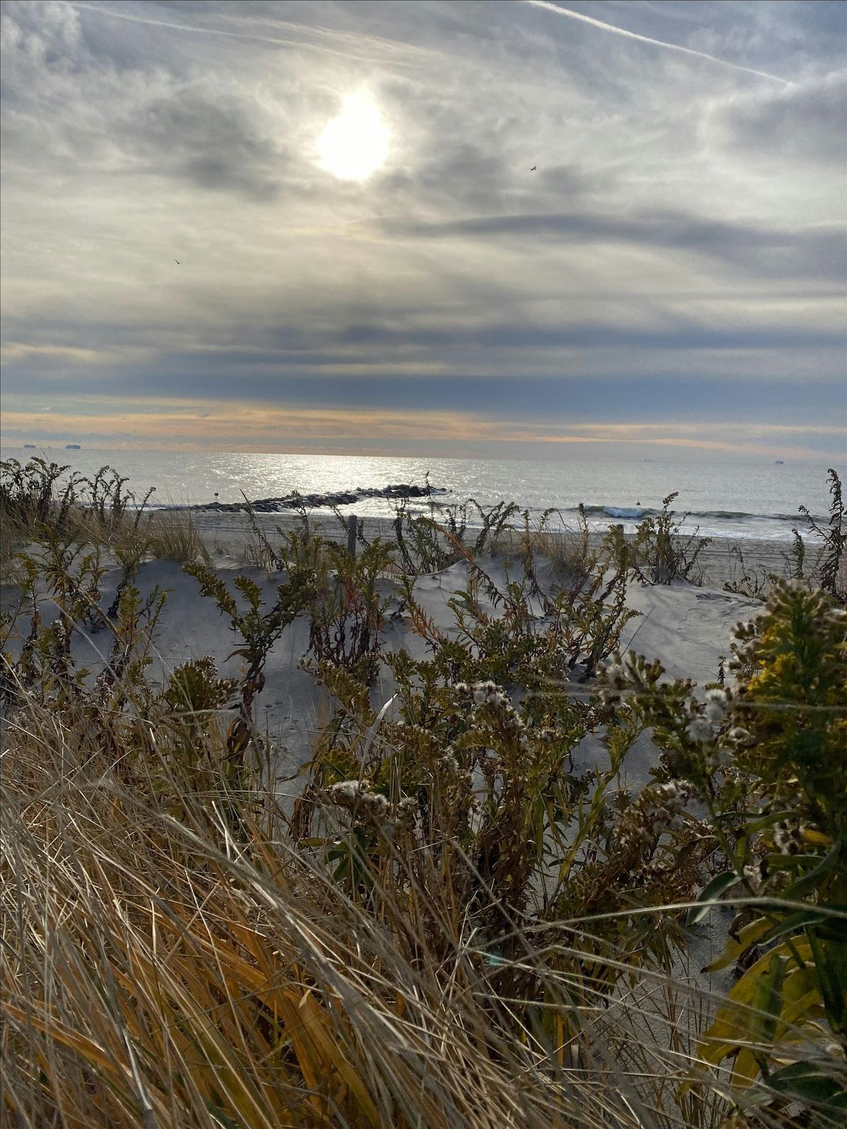 Rockaway Beach Cleanup with JBRPC, Souleil, and Project Rescue Ocean at ...