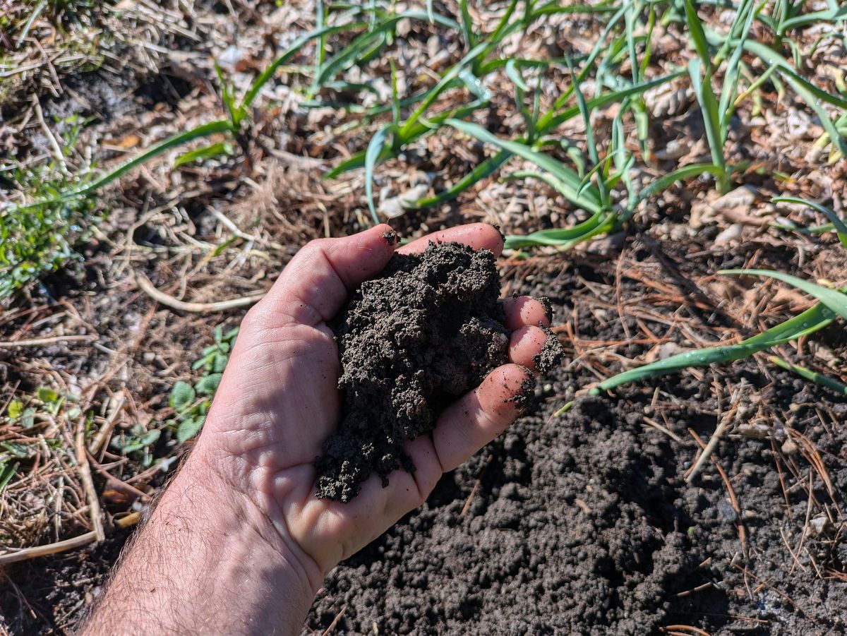 Soil Health Workshop at 3372 Hustead Rd, Springfield on 19th April, 2025