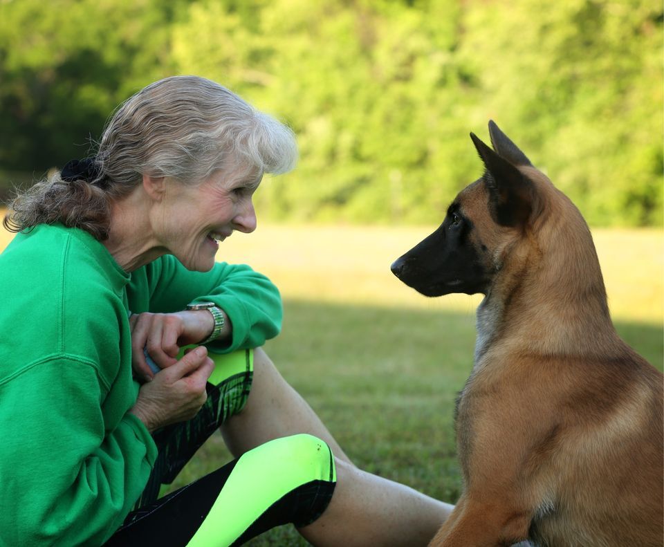 Basic Manners Obedience Class Lucky Dog Training Center 15545 Basic Manners Obedience Class Lucky Dog Training Center 15545