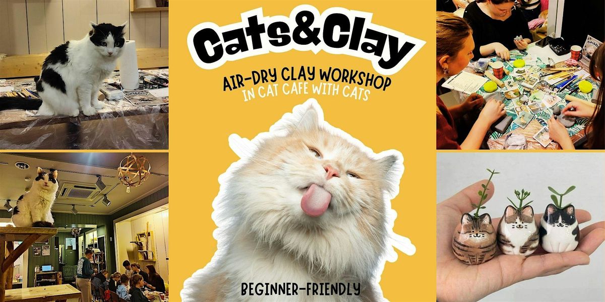 Cats&Clay - clay workshop in cat cafe with cats - Leiden at Sophie ...