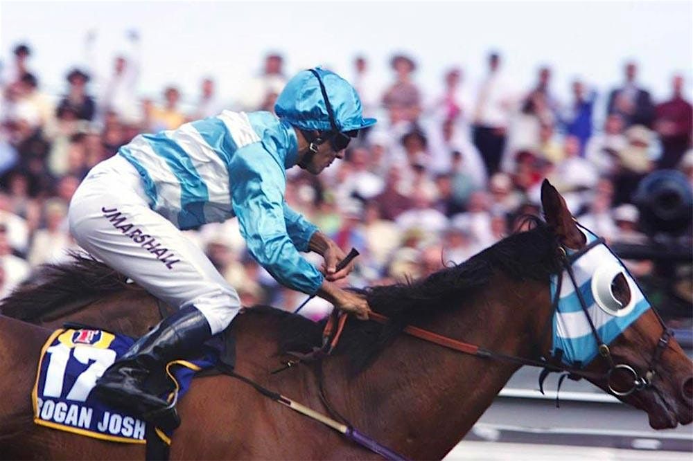 AUSTRALIA DAY HOLIDAY RACEDAY at Pinjarra Race Club Inc / Pinjarra Park ...