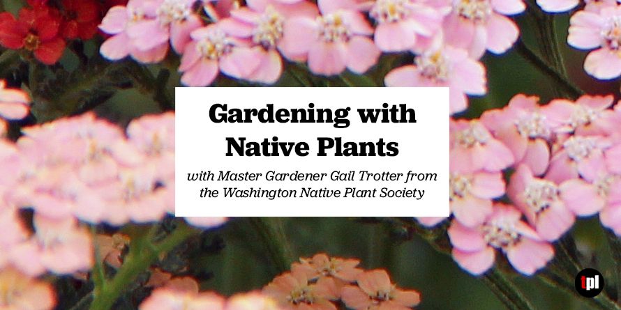 Gardening with Native Plants at Tacoma Public Library (Wheelock Branch ...