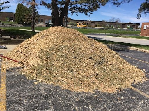 Feral Fixers Spring Mulching Project 2022 at 330 Eisenhower Ln N ...