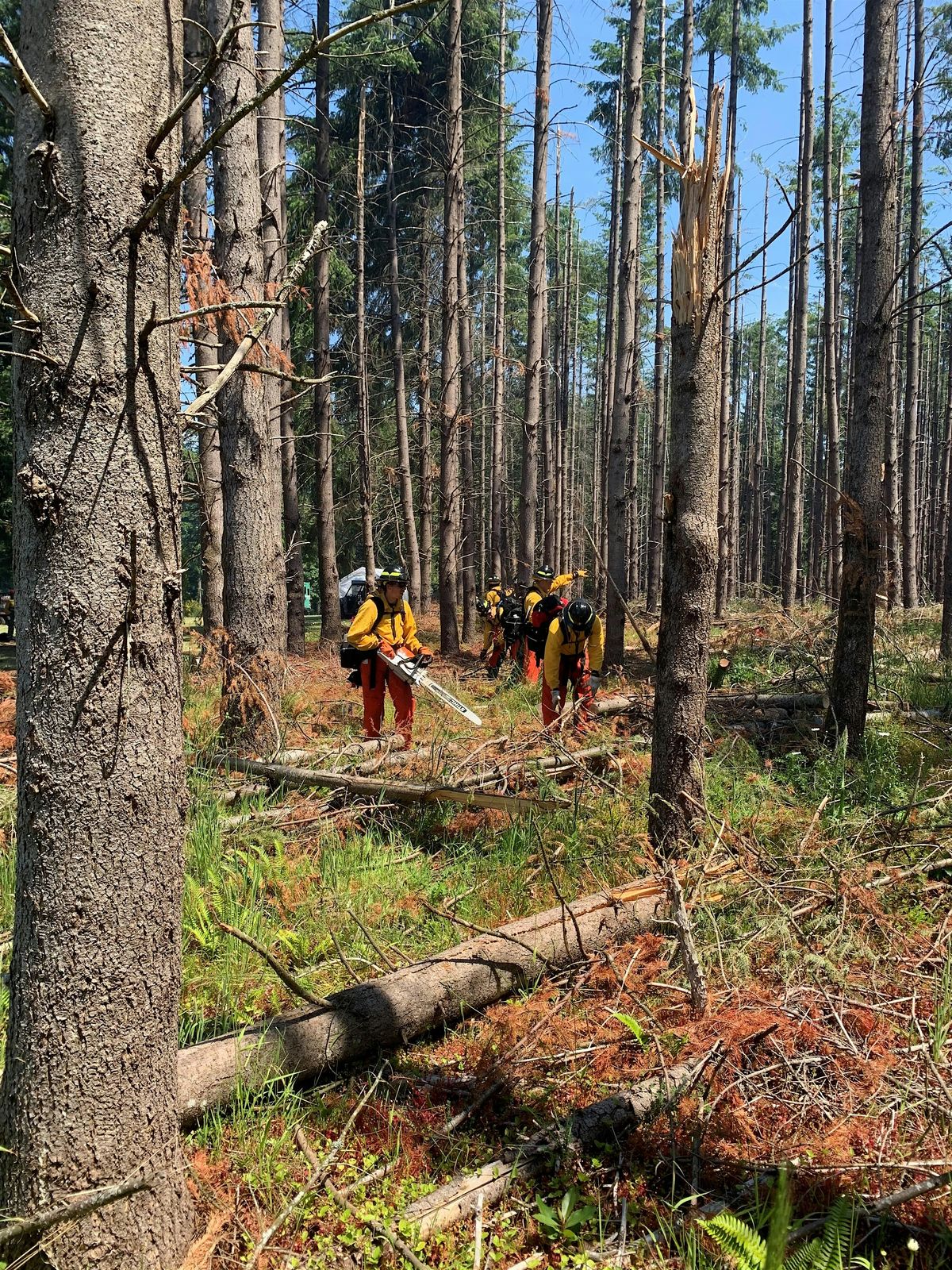 MAWS 2026 - Metro Advanced Wildland School at Molalla Fire Department ...