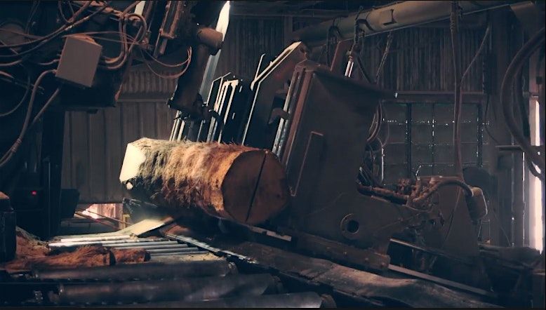 Timber Trek: Exploring the Legacy of Frank Miller Lumber at Frank ...