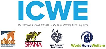 Recognising Working animals: the overlooked yet vital link in ...