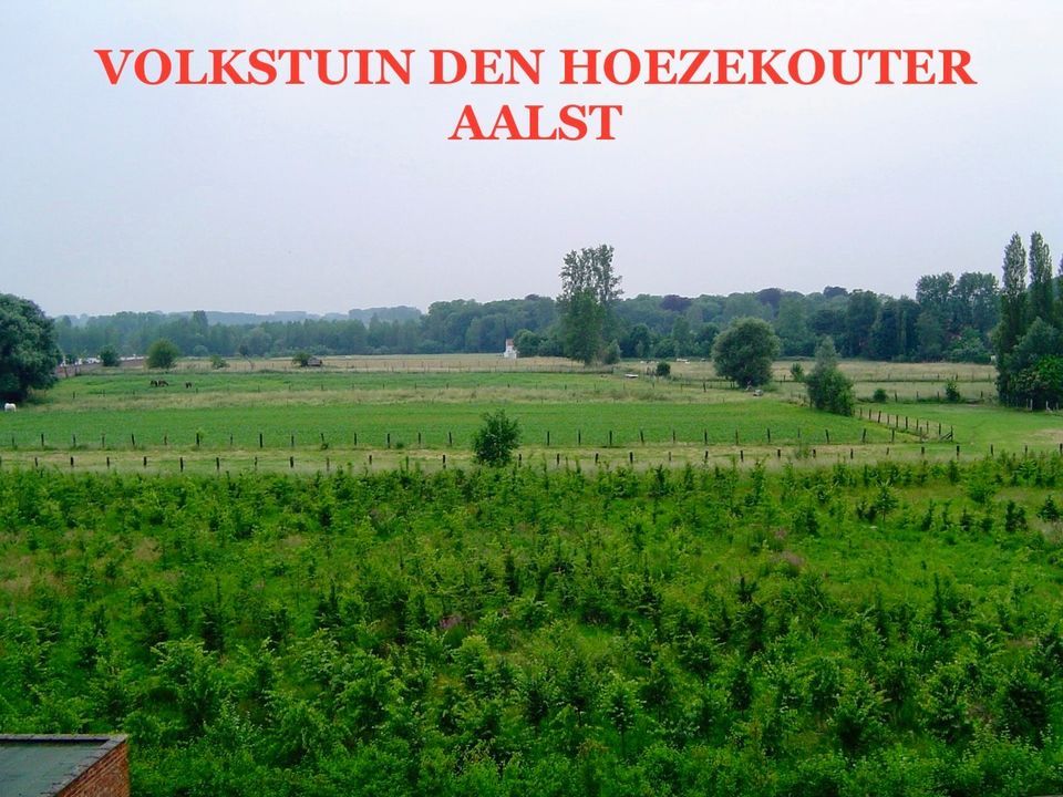 ECOTUINDAGEN VELT DEN HOEZEKOUTER AALST 2023 at Volkstuin Den ...
