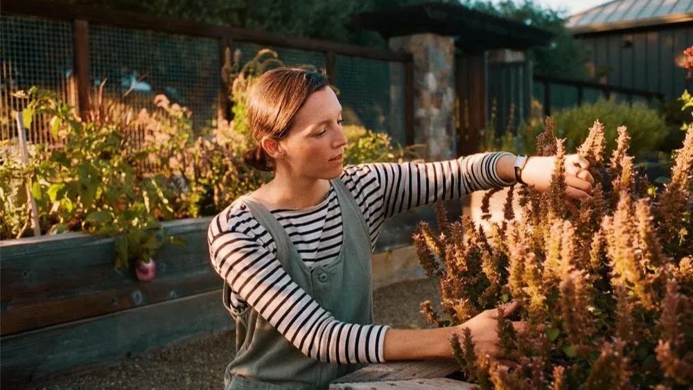 Wreath-making with native plants - a talk and demo by Jill Sowards at ...