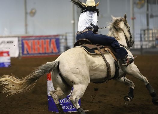 2022 NBHA Asheville Super Show at WNC Ag Center, Fletcher on 4th March ...